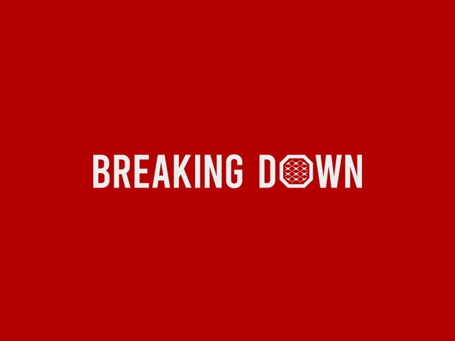 BreakingDown株式会社 の会社概要とプレスリリース