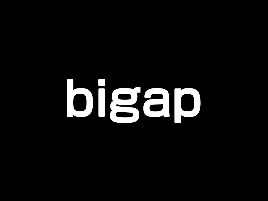 合同会社bigap の会社概要とプレスリリース